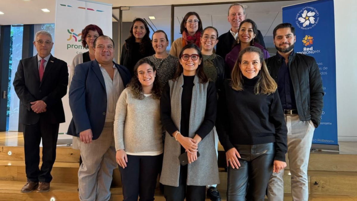 Mes Pro Bono - Estándares Pro Bono México